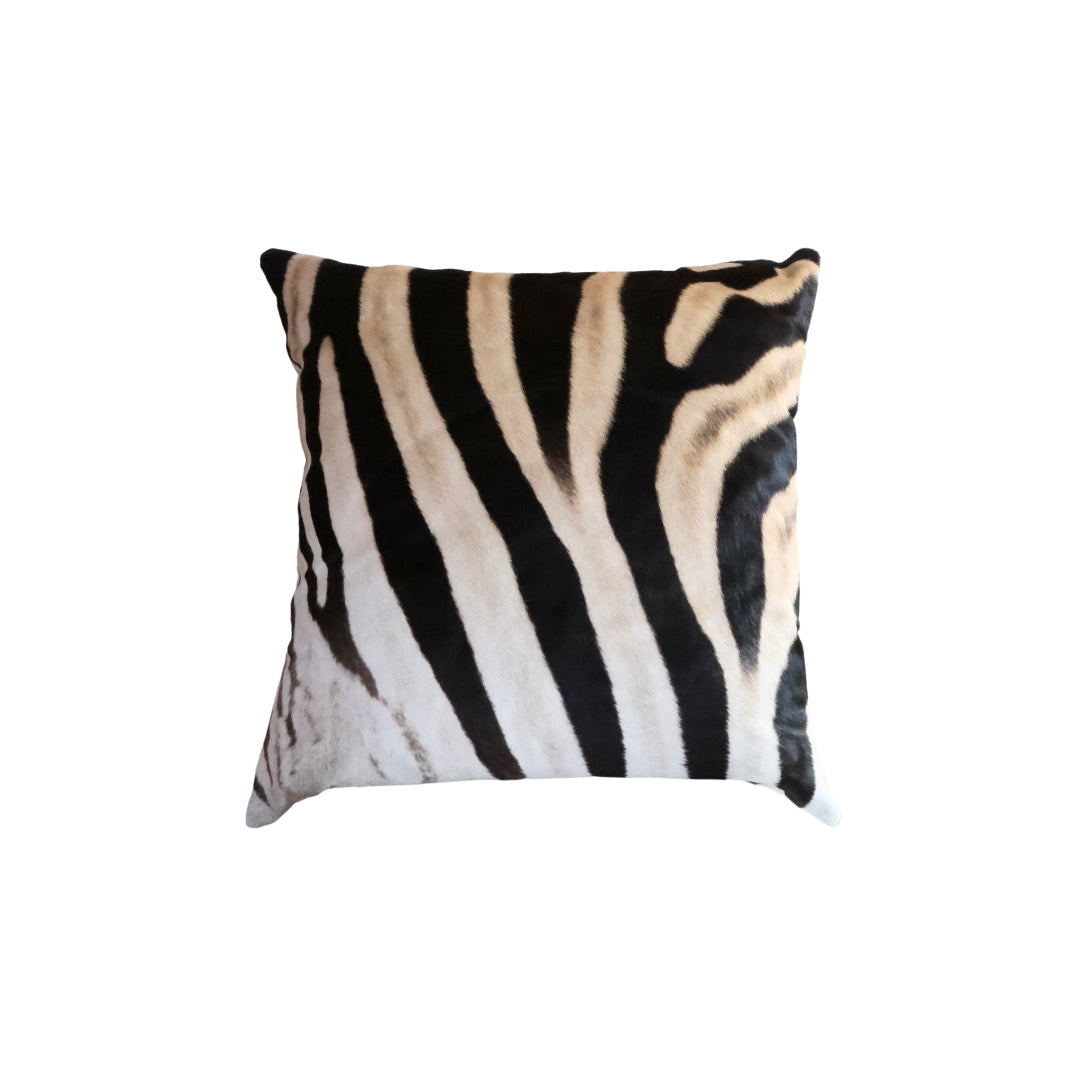 Square Zebra Pillow - Christopher Collection