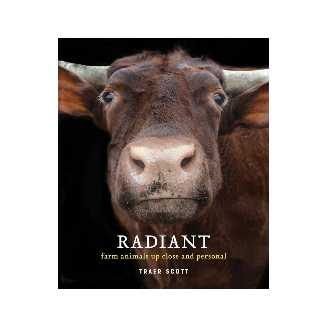 Radiant: Farm Animals Up Close and Personal - Christopher Collection