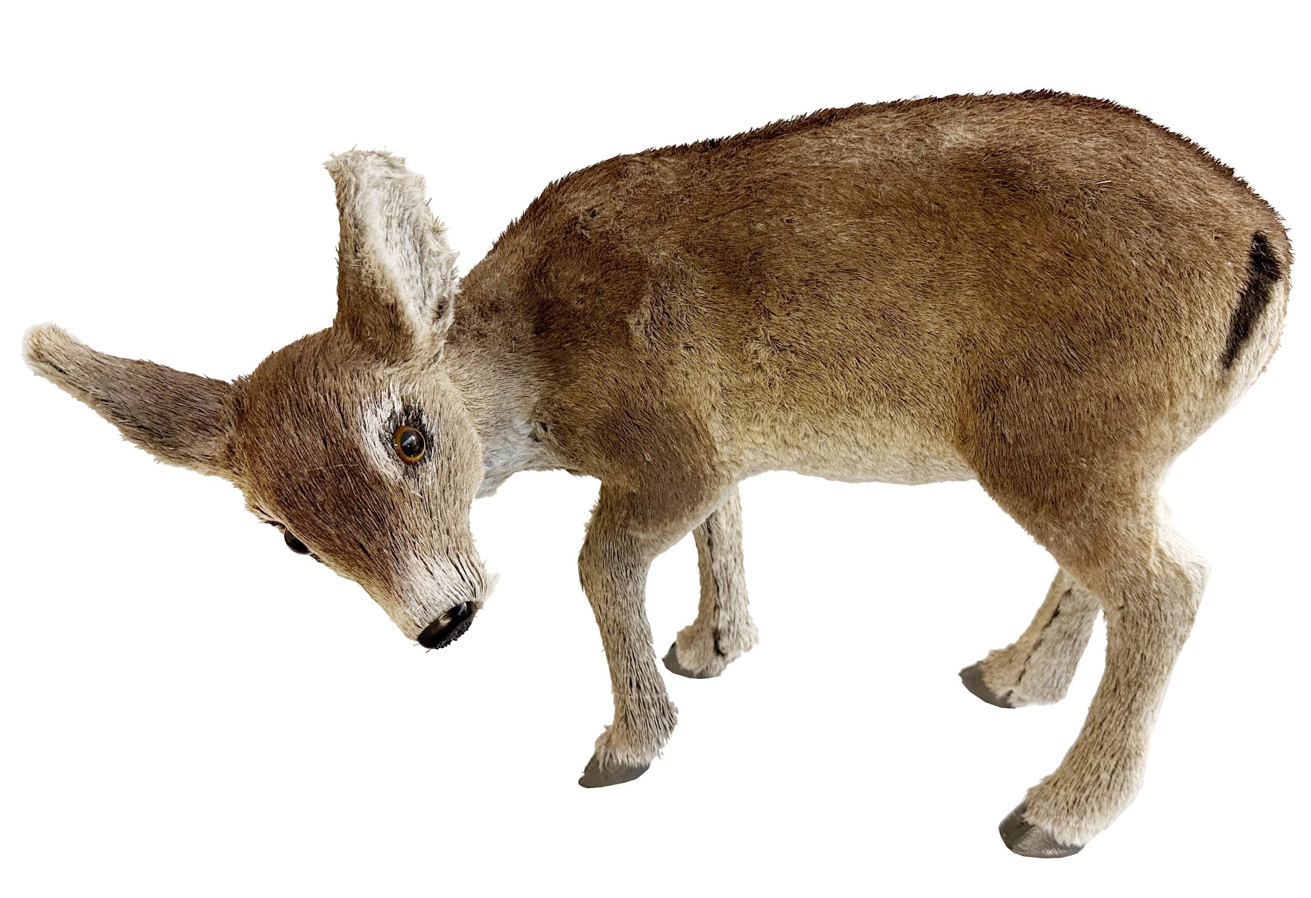 Small Brown Deer - Christopher Collection